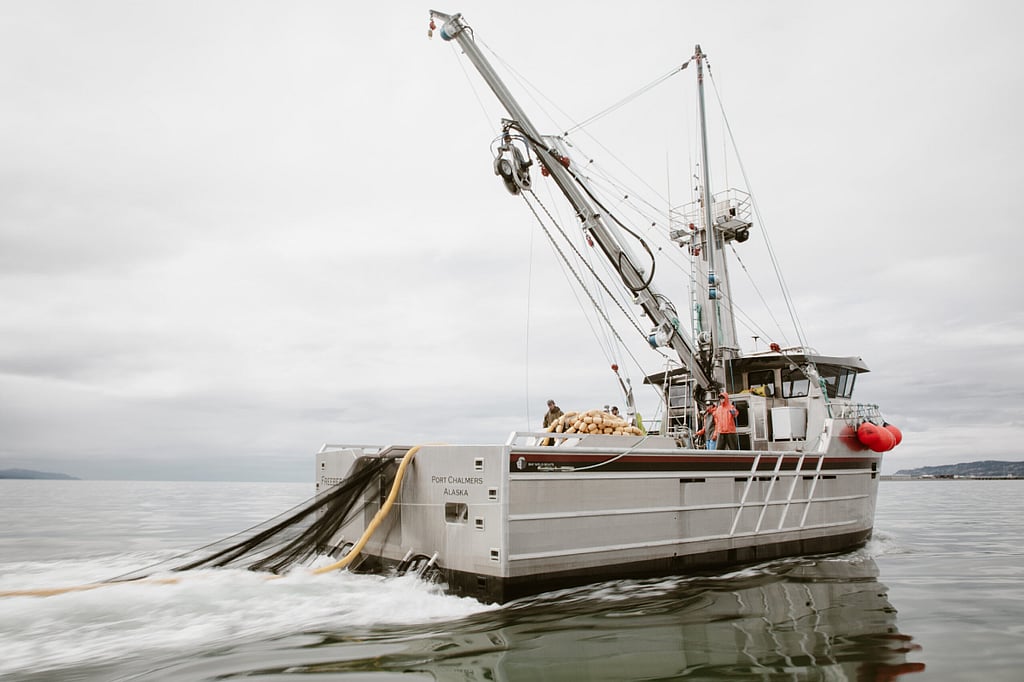 Freeberd – Alaskan owners to deploy new seiner in Prince William Sound