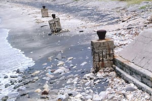 Marine Environment Protection: A Must for Maritime Schools