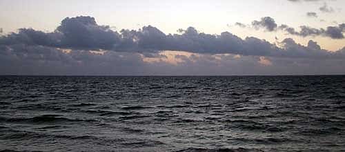 WOC announces industry-science collaboration