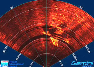 Gemini multibeam imaging sonar