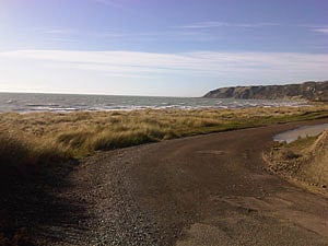New Zealand: Clifford Bay back on agenda