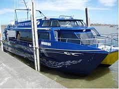 New Zealand takes delivery of whale watching vessel