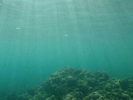 “Falling up”: DARPA develop retrievable payloads from seafloor