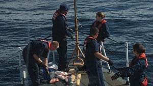 US Coast Guard disrupts illegal Mexican fishermen off Texas