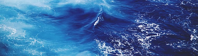 Who’s Who: Maritime Movements for May/June 2024