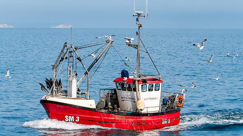 EU and Coastal States Set 2025 Fishing Quotas for Mackerel, Blue ...