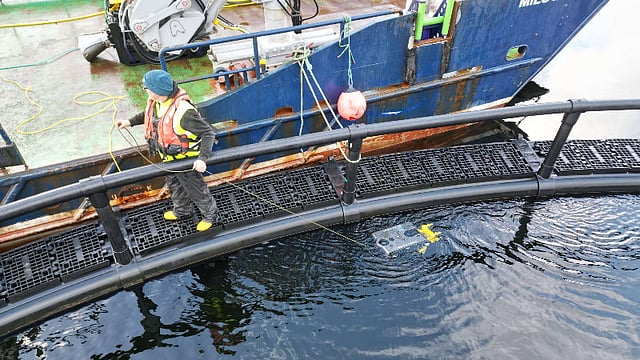 New Partnership Enhances Fish Farm Maintenance with Advanced ROV Support
