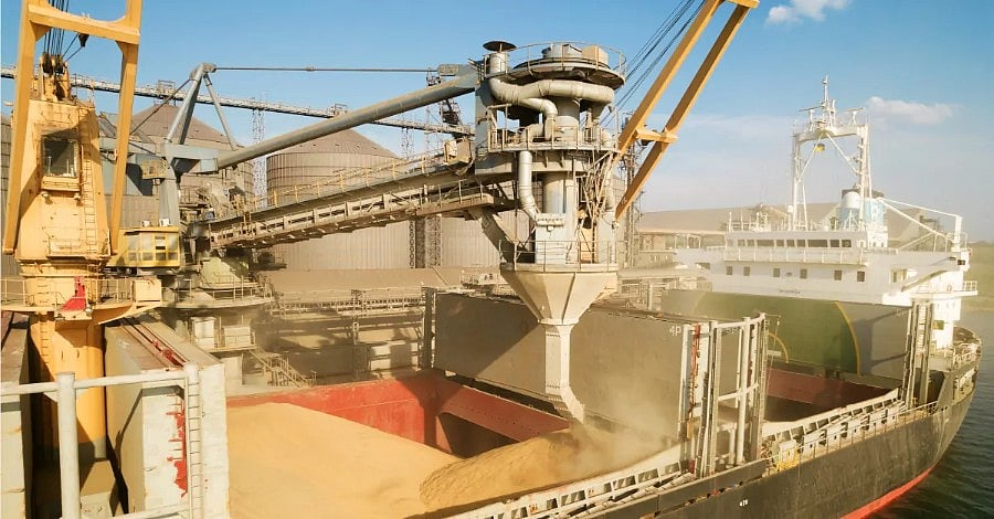 China steps up seaborne wheat imports from Australia and Argentina