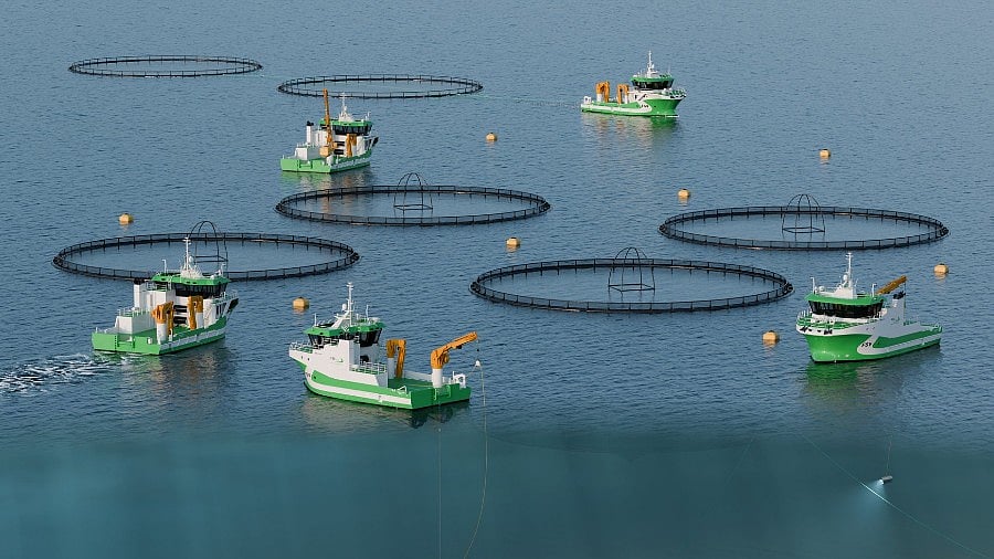 Aquaship/Intership acquires FSV Group to form world's second-largest ...