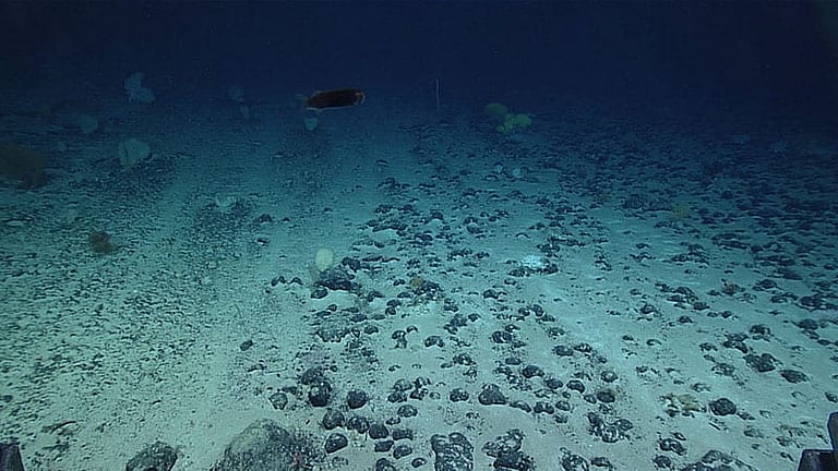 NOAA scientists and partners to map seabed in Cook Islands