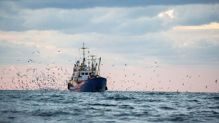 Spain to appeal EU court ruling upholding Atlantic bottom fishing ban