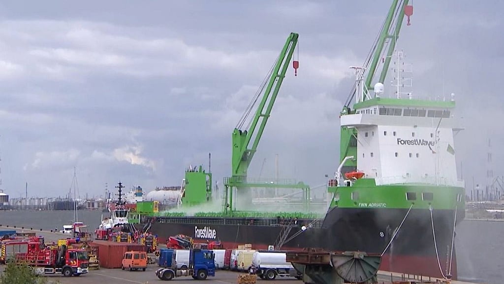 Fire breaks out on moored cargo ship in Port of Antwerp