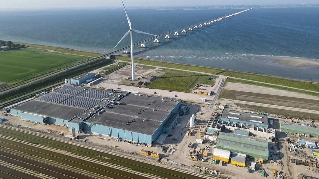 The Kingfish Company posts revenue growth in preliminary 2025 results