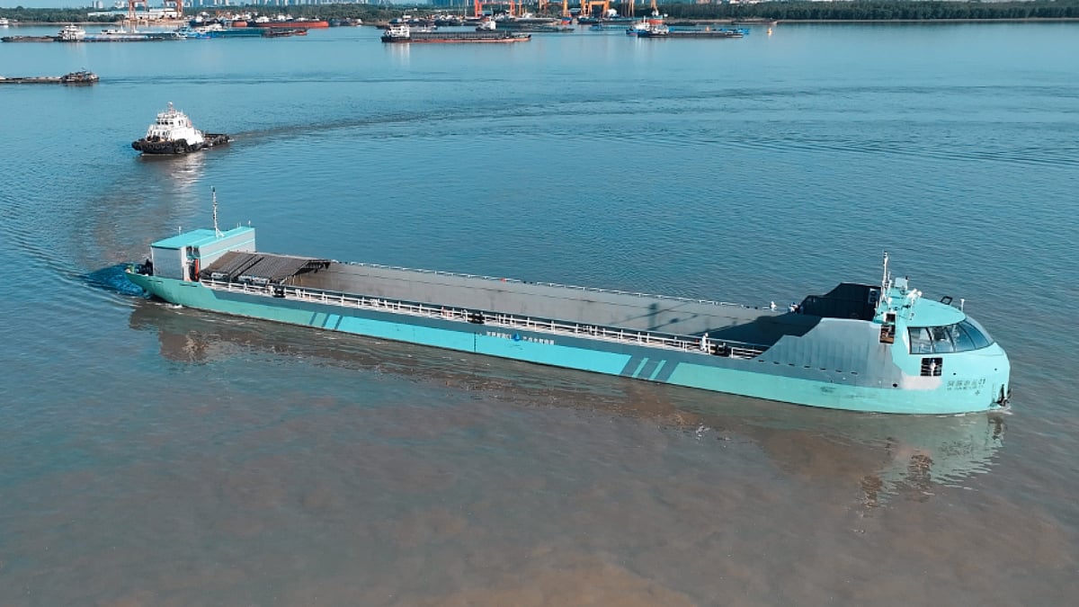 Puffer Fish Blue 01 Swaps Batteries - News about Energy Storage ...