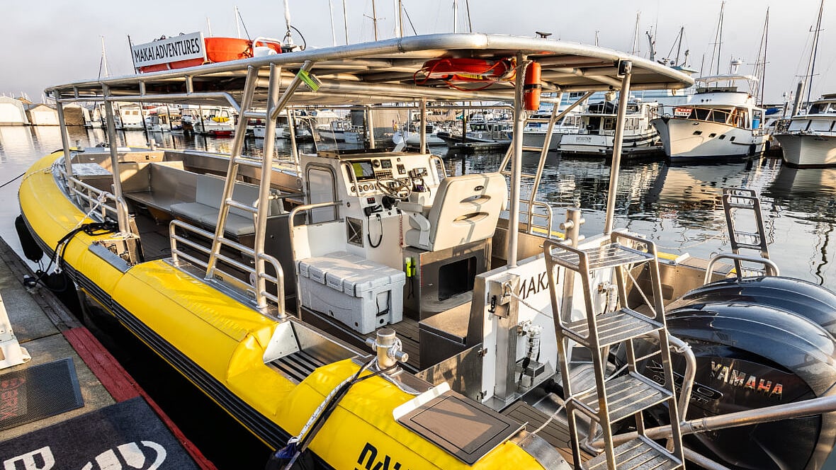 Maui tour operator to welcome custom RIB to fleet