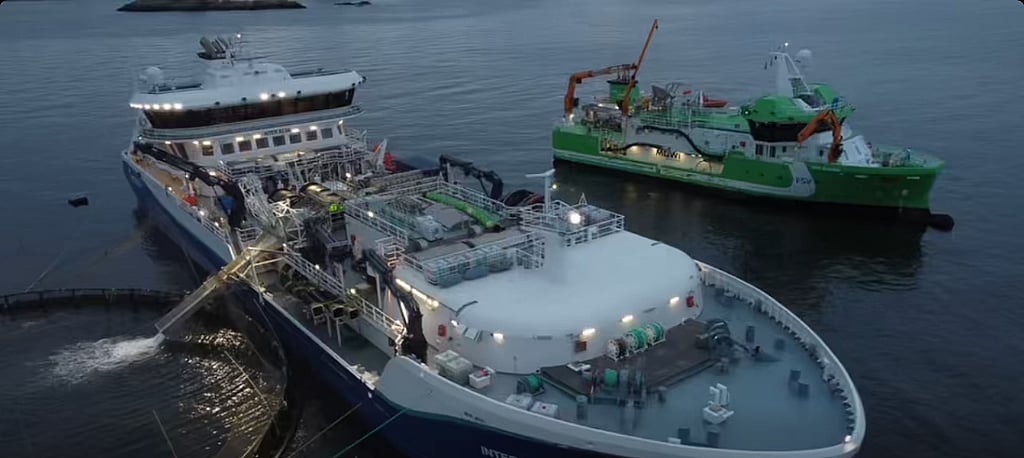 Inter Alba – New large wellboat with RO and delousing facilities