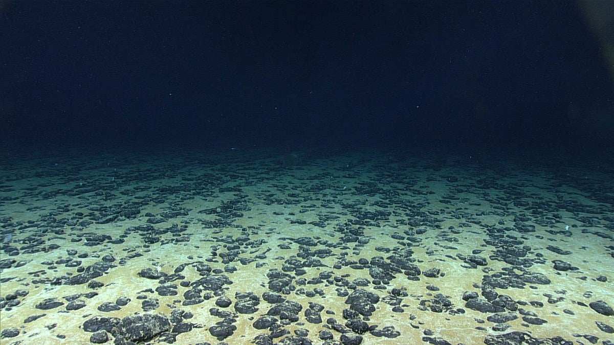 NOAA compliance ruling advances Deep Sea Minerals seabed mining bid