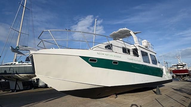 Marine Tourism - Latest News, Opinion and Reviews | Baird Maritime