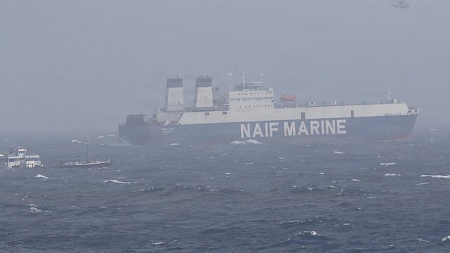US Navy assists in rescue of 14 stranded Indian sailors in Arabian Sea