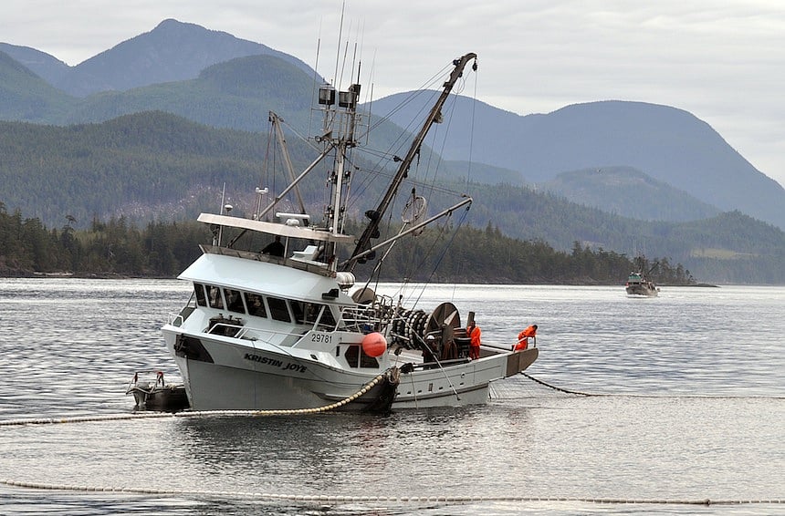COLUMN | Innovation around regulation of fishing gear [Fishing for a ...
