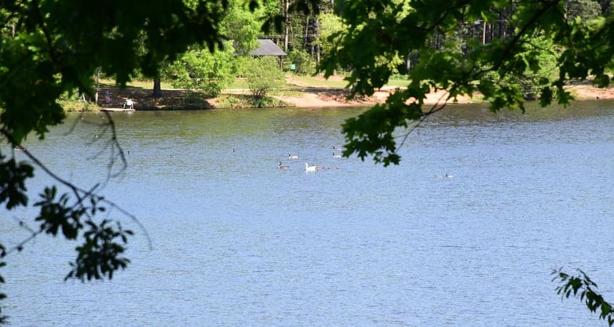 Brookhaven’s Murphey Candler Lake to undergo maintenance dredging