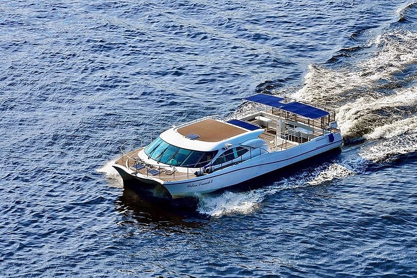 FEATURE | The ROBOSHIP project: a new autonomous navigation system ...