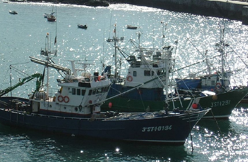 ICES releases new fishing regulations for protection of deep-sea marine ...