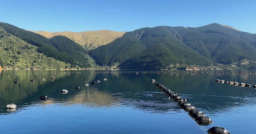 NZ firm developing new mussel float design for exposed waters