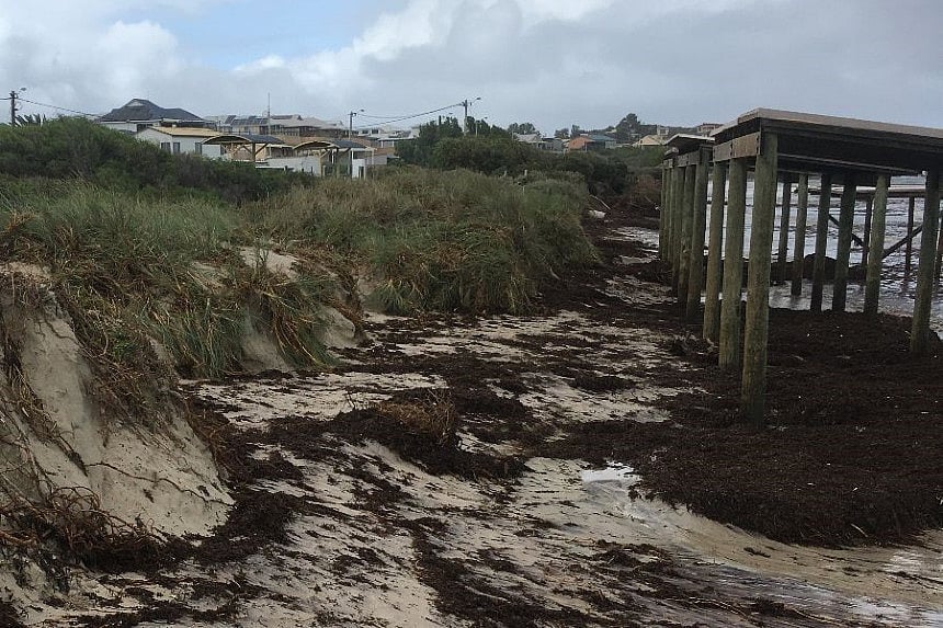 WAFIC seeking members’ urgent input for impact assessment, recovery ...