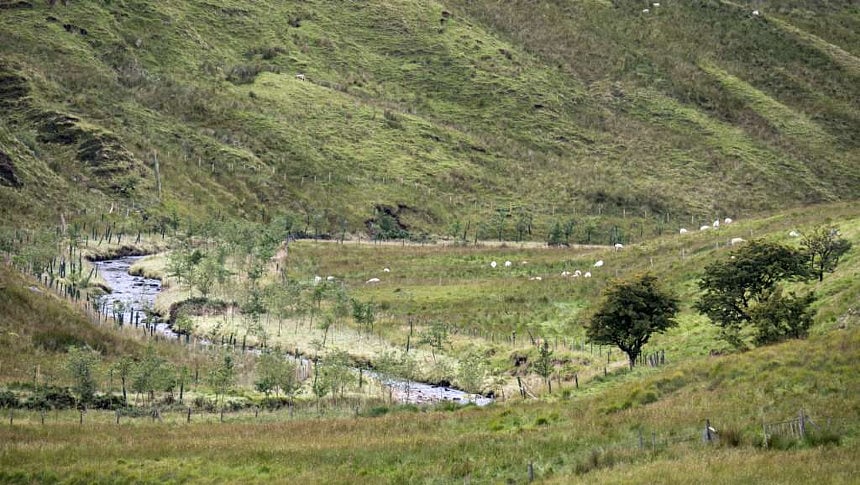 Northern Ireland’s River Roe catchment area benefits from £80,000 ...