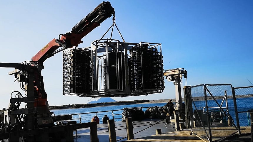 NZ-led partnership unveils innovative shellfish farming structure