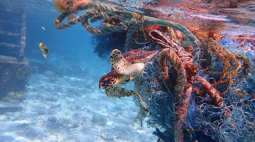 Partnership launches program to recover used fishing gear in Maldives ...
