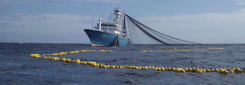 EU fishing stakeholders call for more flexible fisheries control rules