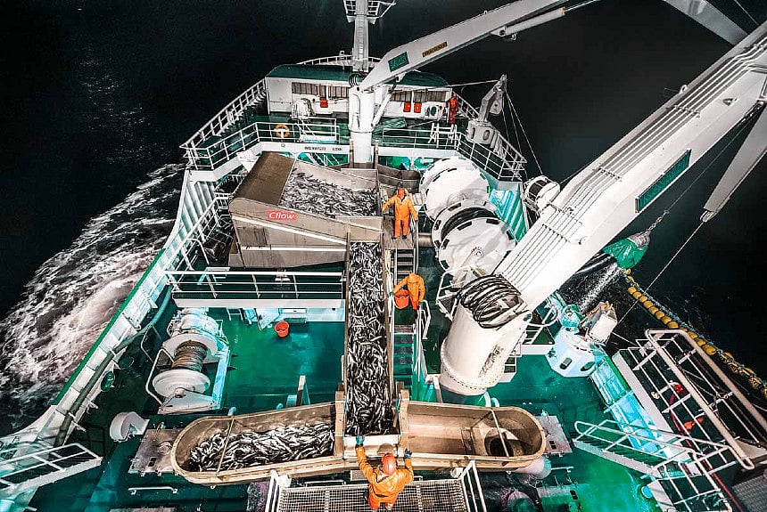 AWARDS 2020 | Best Fish Handling System Supplier – Cflow Fish Handling