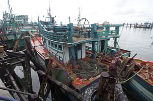 Cambodian fisheries: The future
