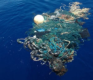 Plastics found in “garbage patch” fish