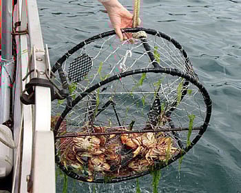 US set for more marine parks