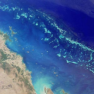 Coral Sea MPA: Australia’s gift to Asian fishermen