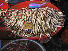 Fish scarcity pushes Tanzanian prices up