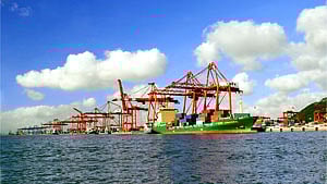 Xiamen Port reaps benefits of China-Taiwan zone plan