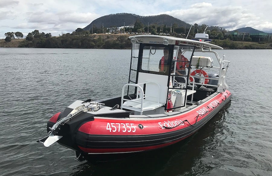 VESSEL REVIEW | Ecklonia – Eight-metre diving/patrol RHIB for south ...