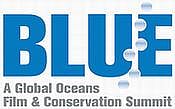 Blue Ocean Film Festival winners announced