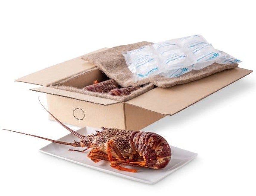 Lobster packing solution wins design award