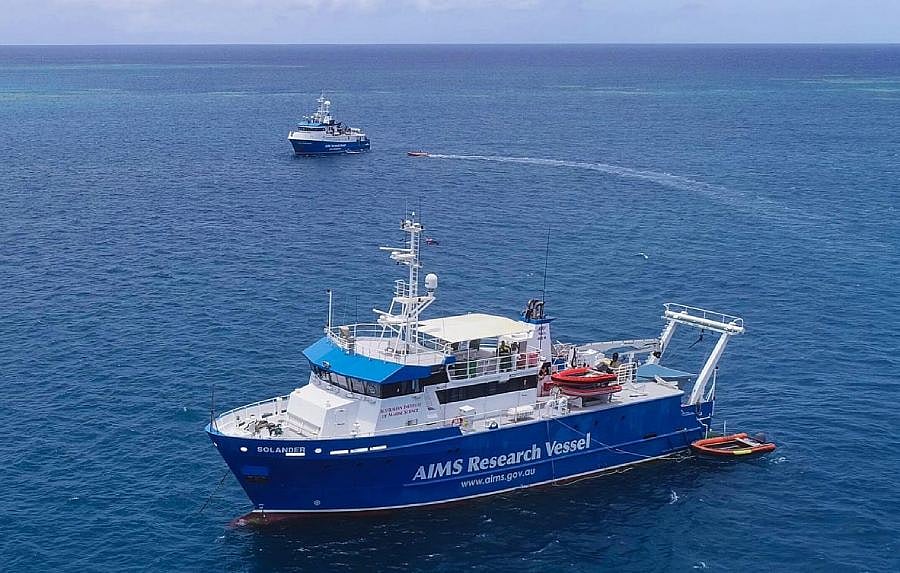 Focus on Research and Training