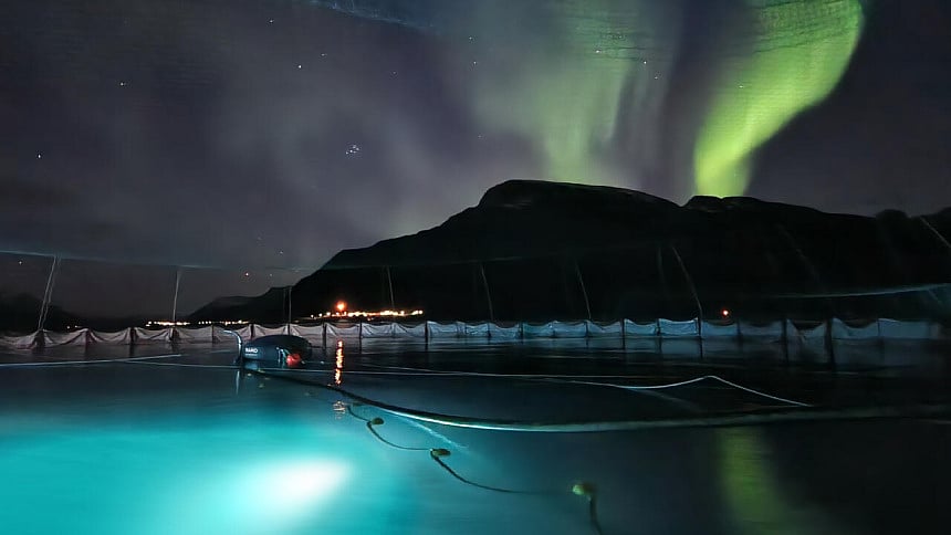 Norwegian partnership unveils new salmon pen designed to protect ...