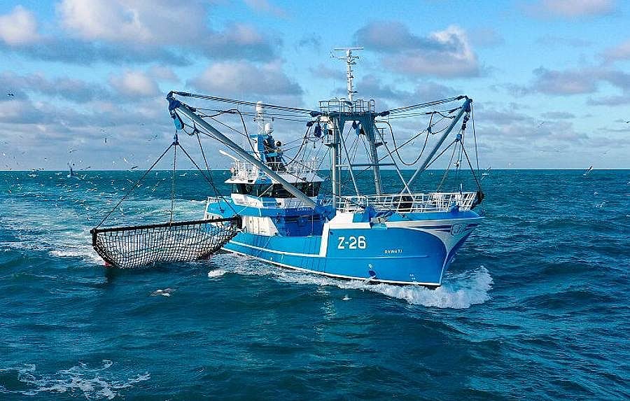 VESSEL REVIEW | Avanti – Versatile deep-sea beam trawler delivered to ...