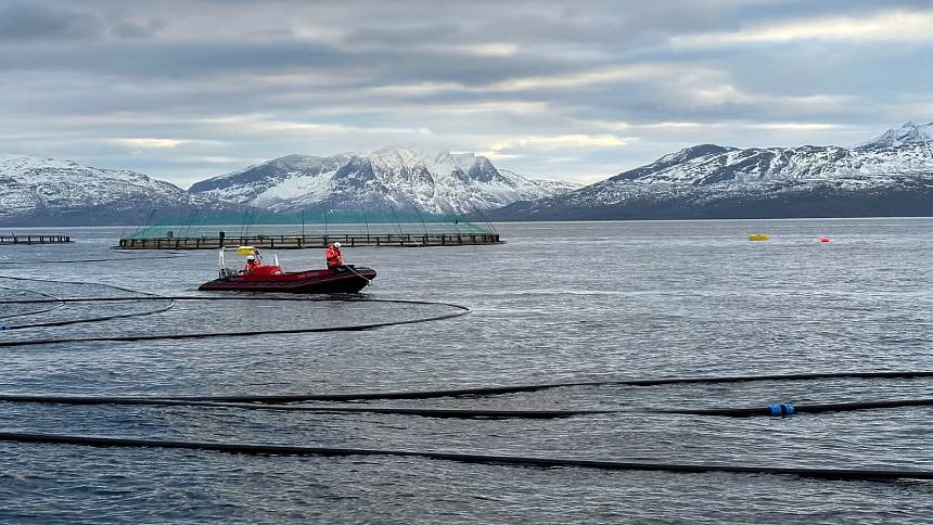 New combined sea farming site starts operations in Norway