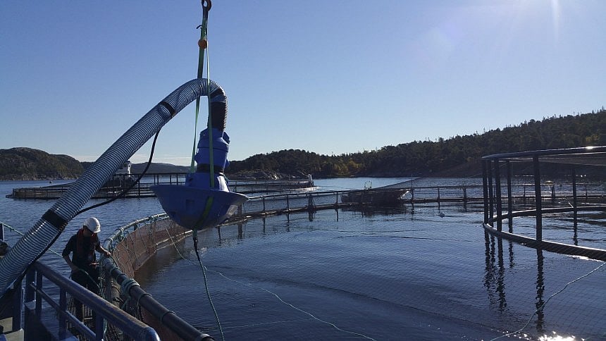 Norwegian firm proposes deep fish farming to reduce risk of lice