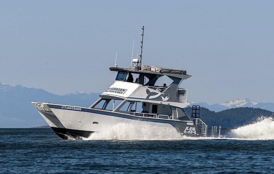 VESSEL REVIEW | Artemis – Whale-watching boat for Hawaiian waters