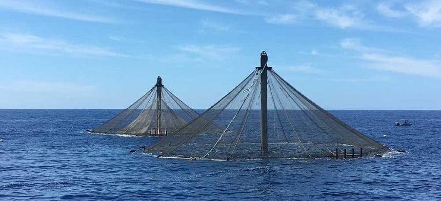 Aruba government approves construction of offshore fish farm